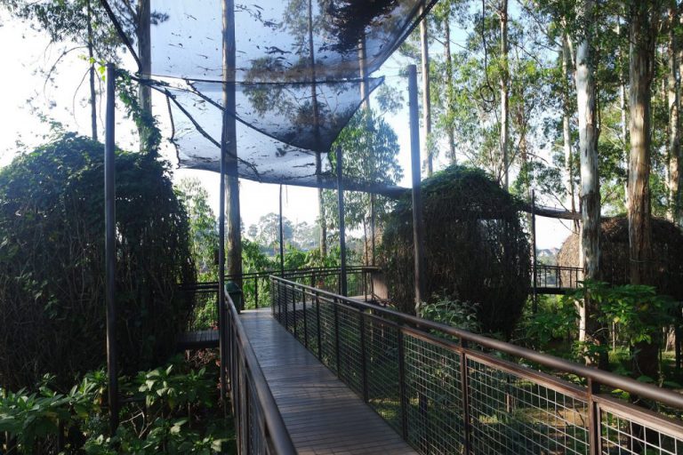 Dusun Bambu, tempat rekreasi bertema alam di Bandung