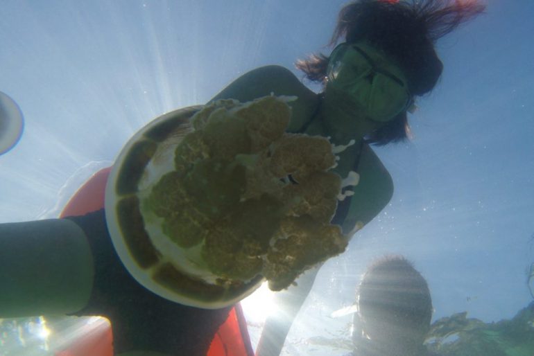 Derawan, Maratua, Kakaban & Sangalaki - 4 Primadona Kalimantan Timur