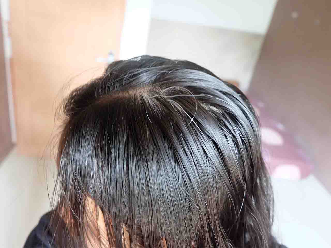 Cat Uban Hitam Temporary Bigen Speedy — Diary of Lenny Lim