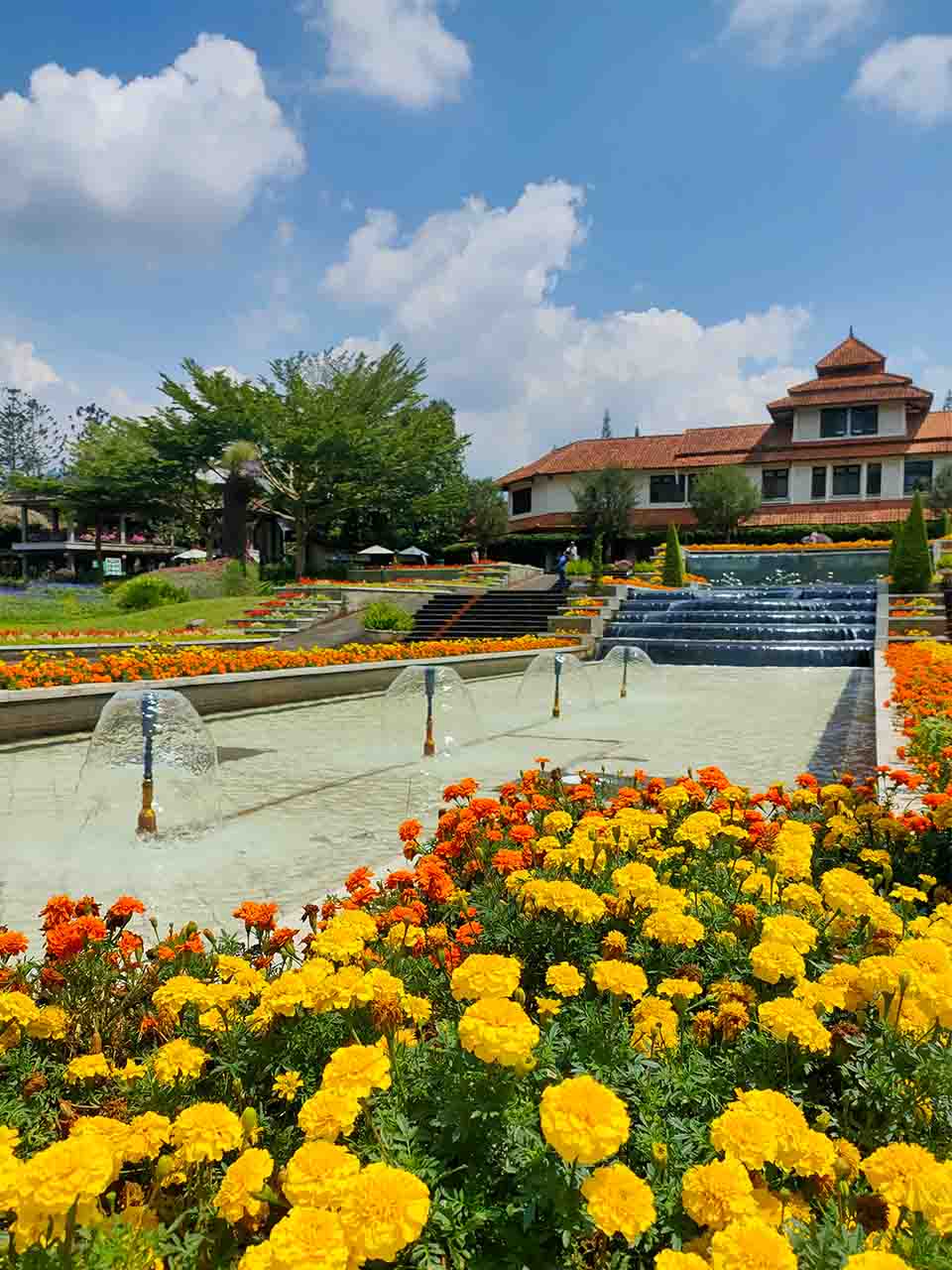 Taman Bunga Nusantara : Old But Gold! — Diary of Lenny Lim