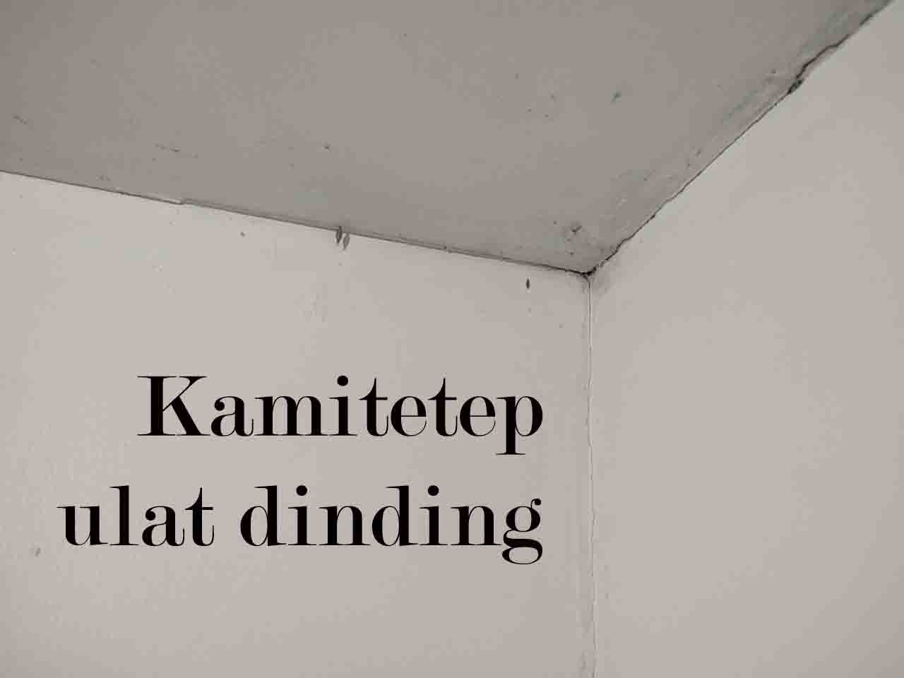 Cara Membasmi Kamitetep, Ulat Dinding — Travel Diary of Lenny Lim